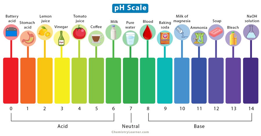 When and Why does the color of “TURMERIC” change? - Sapien Knows